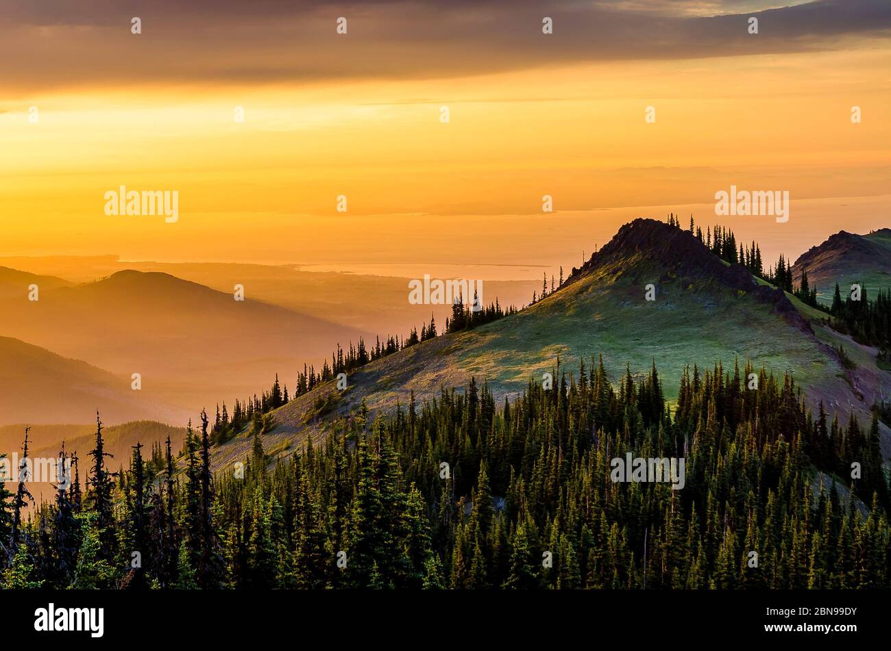 Sub alpine Banque de photographies et d’images à haute résolution - Alamy