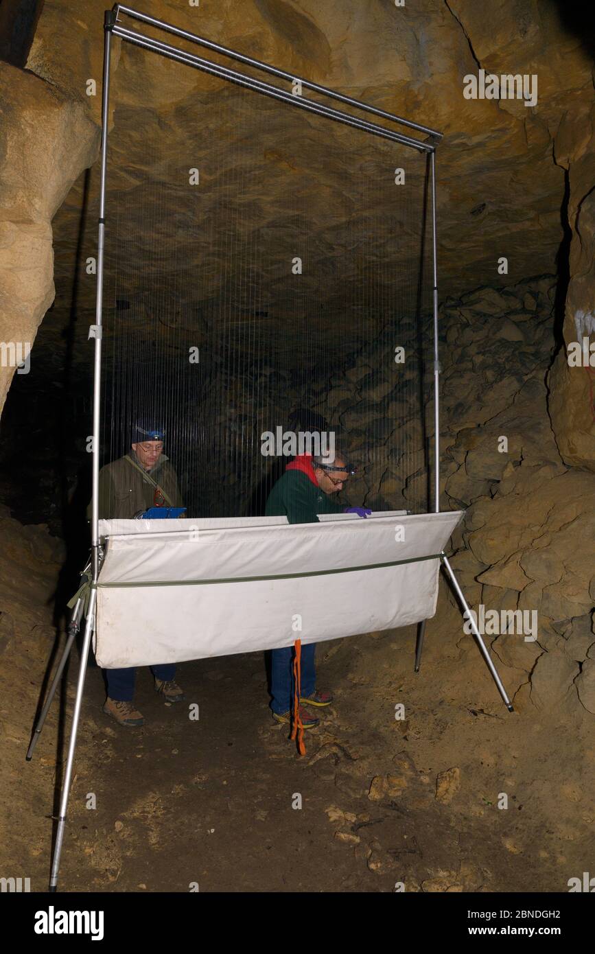 Harp trap Banque de photographies et d’images à haute résolution - Alamy