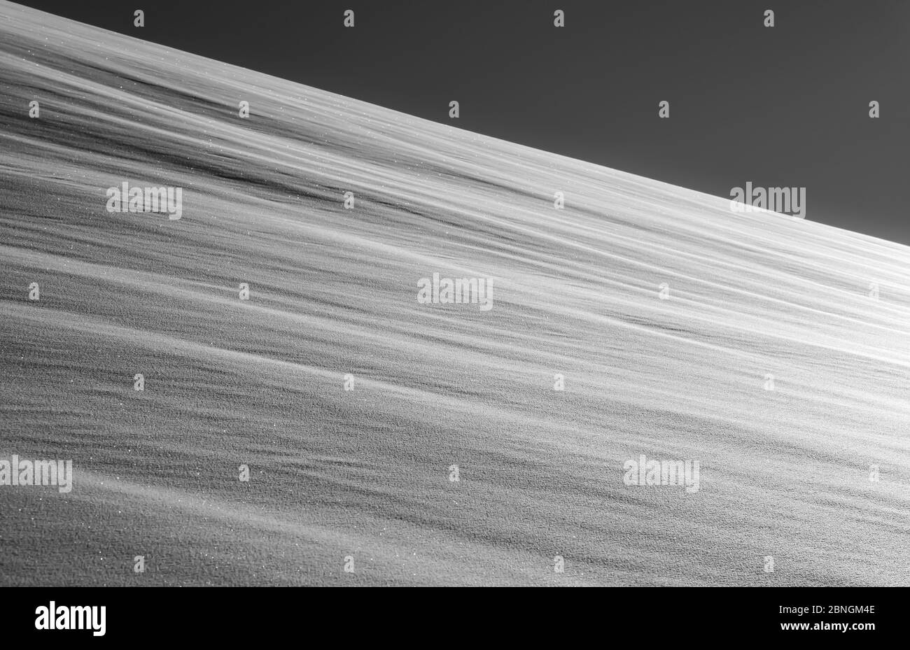 Sahara desert oasis Banque d'images noir et blanc - Alamy