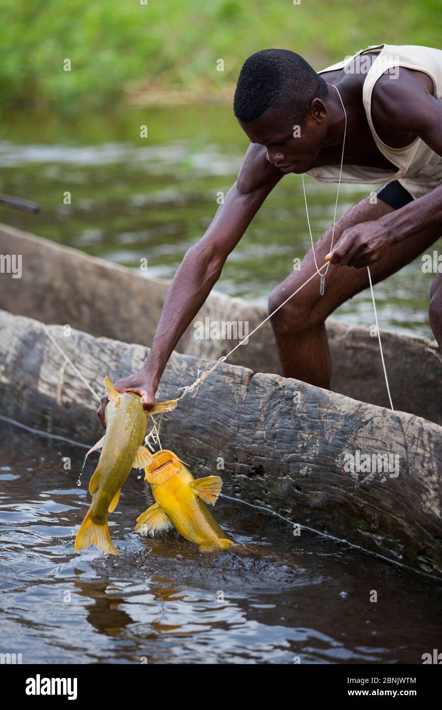 Pêcheurs tirant des prises du fleuve Congo, la frontière entre le Congo ...