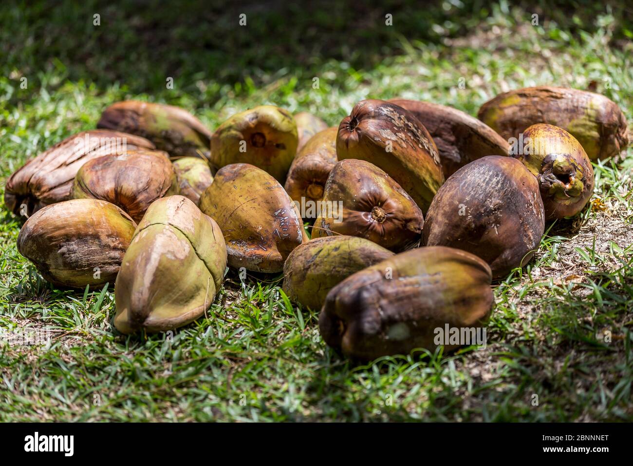 Ferme la Banque de photographies et d’images à haute résolution - Alamy