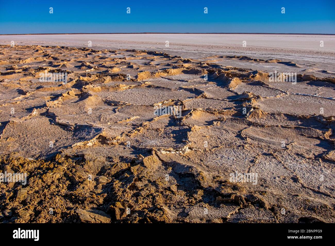 Arid zone Banque de photographies et d’images à haute résolution - Alamy