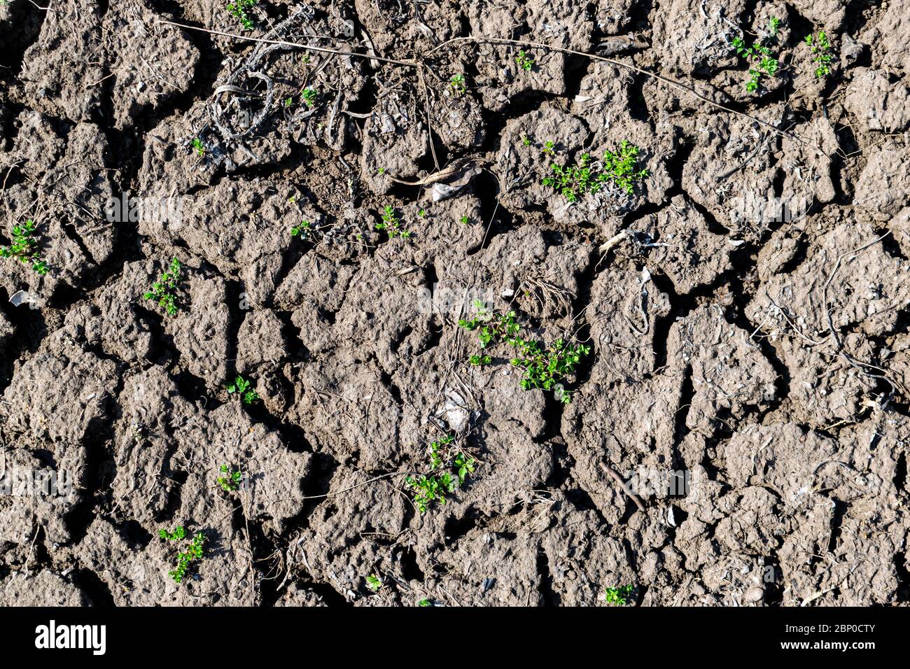 Champ d'érosion des sols Banque de photographies et d’images à haute ...