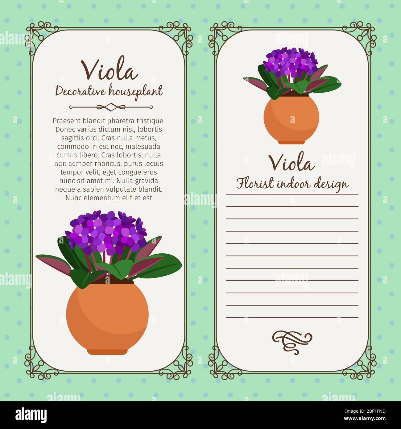 Modèle d'étiquette vintage avec plante décorative en pot, illustration ...