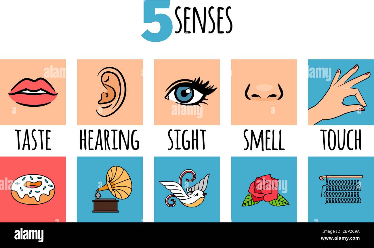 Les cinq sens Banque de photographies et d’images à haute résolution ...