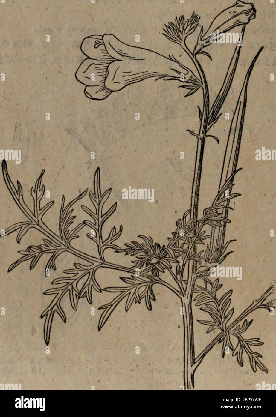 Wu bei zhi Banque de photographies et d’images à haute résolution - Alamy