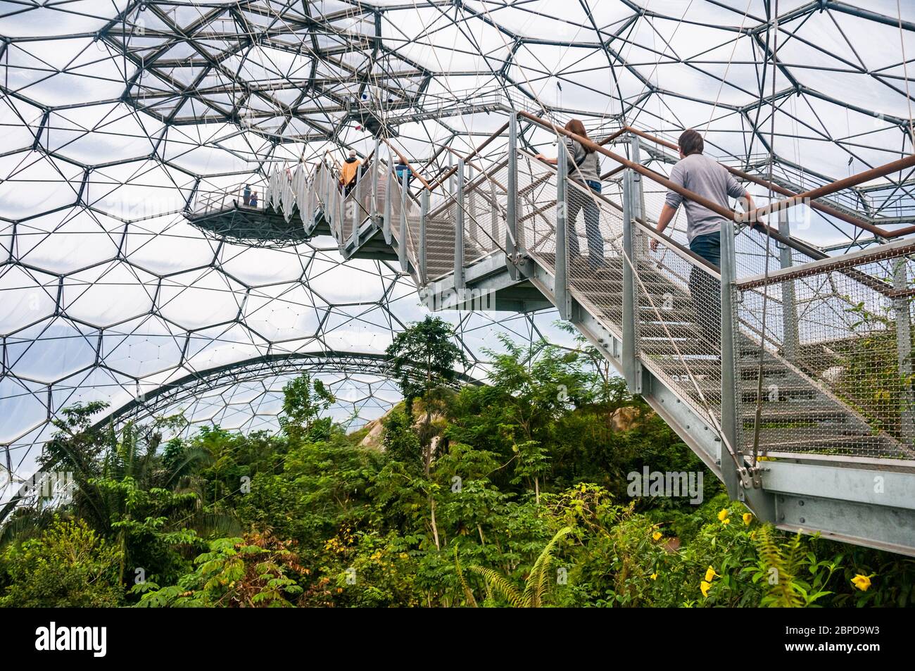 Vue depuis la passerelle Rainforest Canopy au Biome Rainforest dans l ...