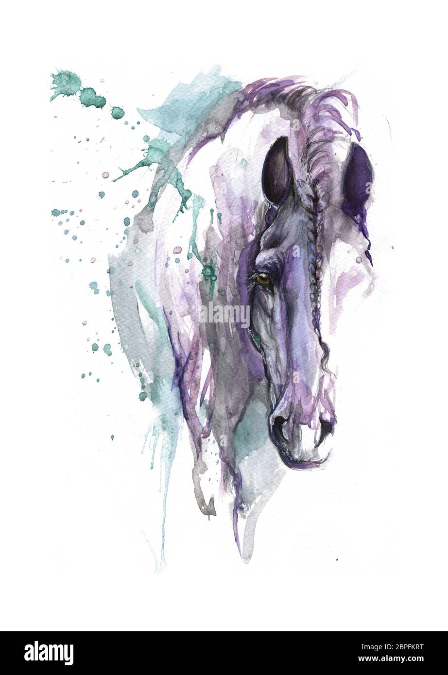 Cheval de race frison Banque d'images détourées - Alamy