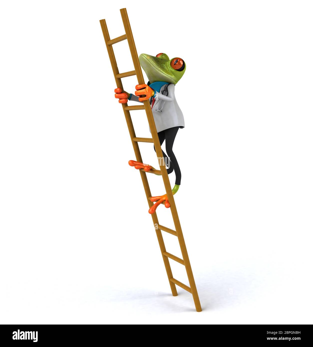 Frog ladder Banque de photographies et d’images à haute résolution - Alamy