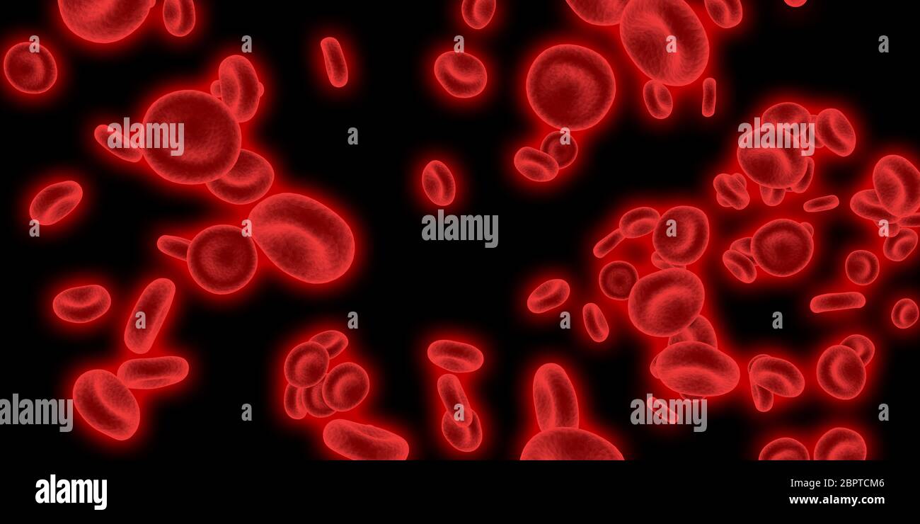 Les cellules rouges du sang qui coule à travers le système circulatoire ...