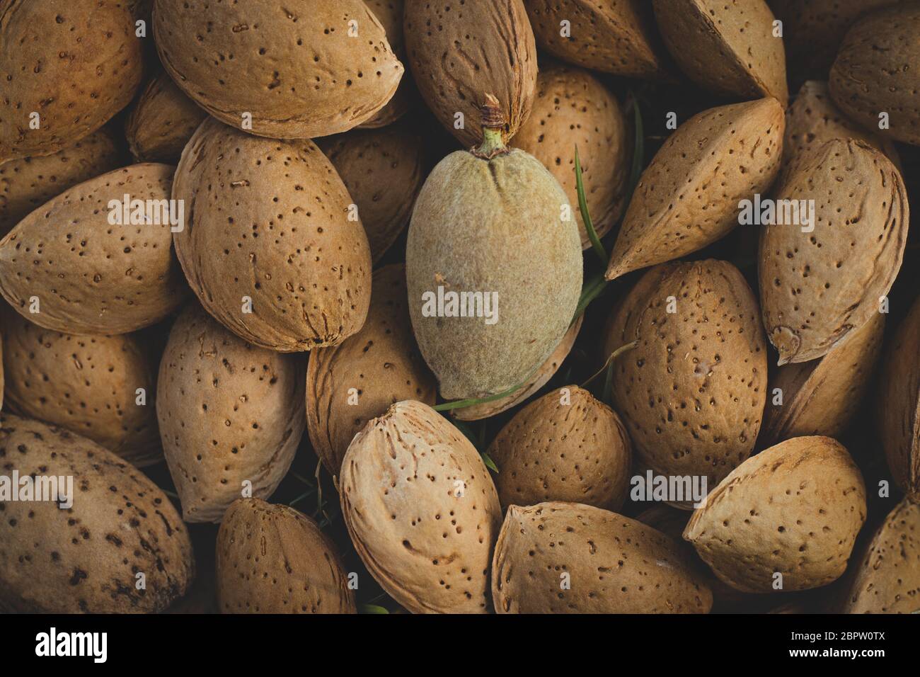 Amande crue Banque de photographies et d’images à haute résolution - Alamy