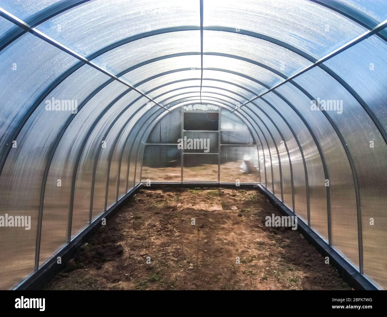 Pour les légumes de serre. Serre en polycarbonate assemblé à partir de ...