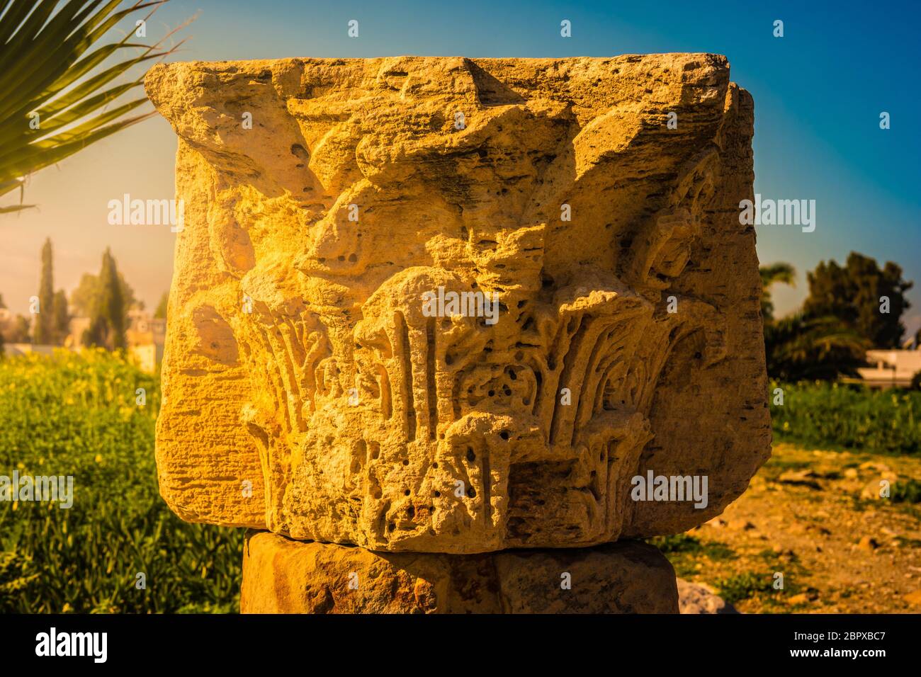 Ruines de Carthage, capitale de l'ancienne civilisation carthaginoise ...