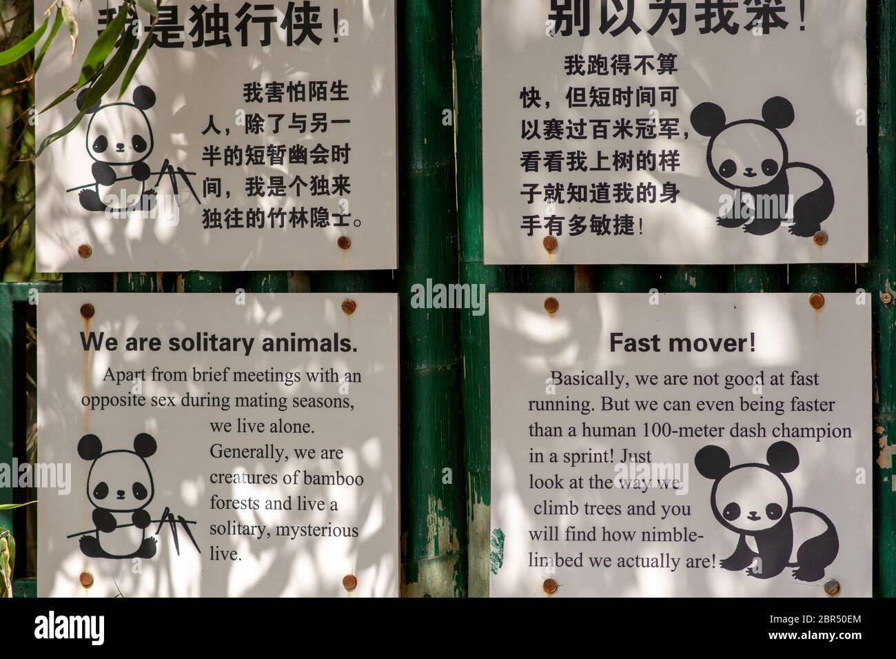 Informations sur le zoo Banque de photographies et d’images à haute ...