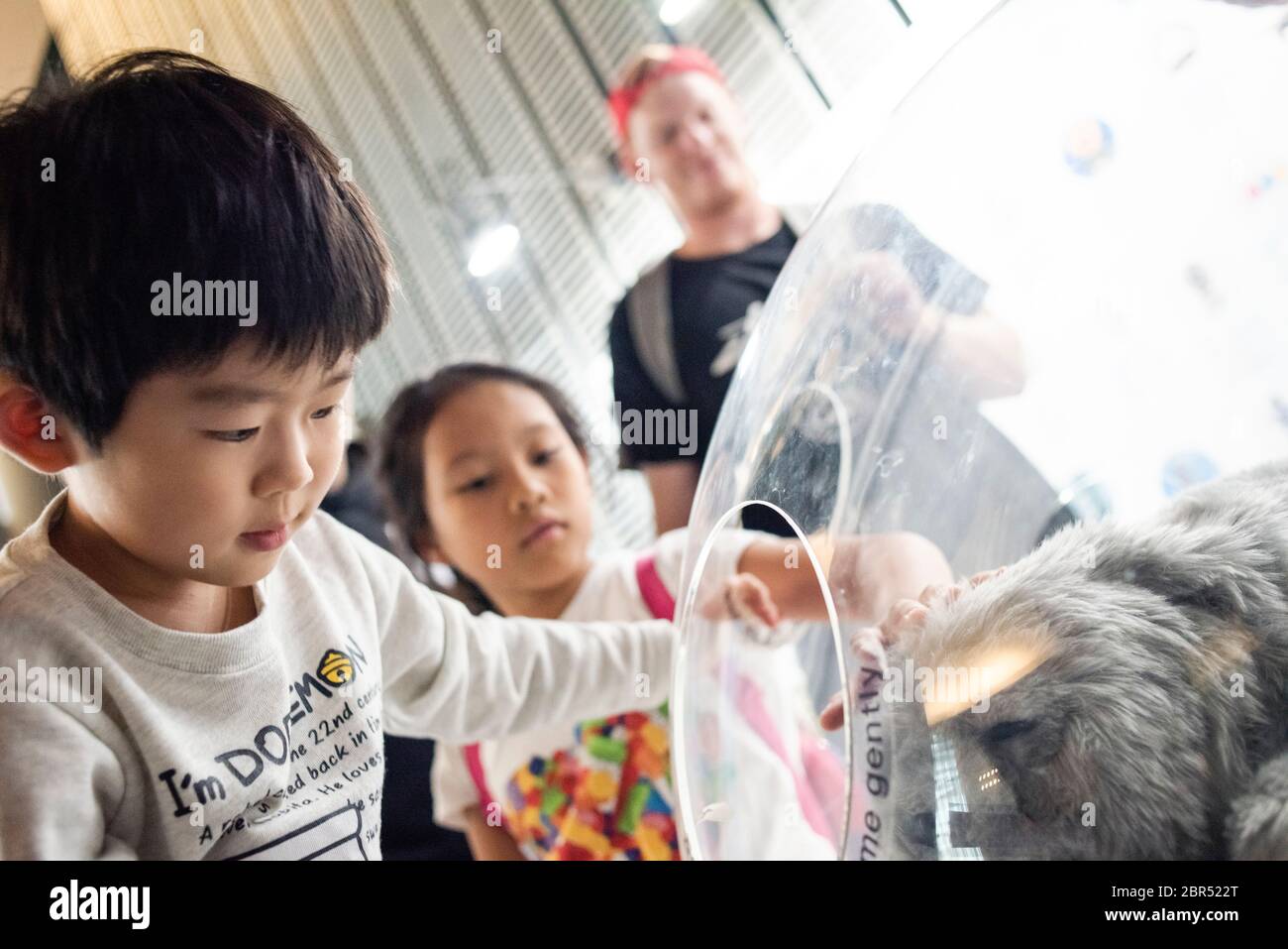 Paro seal robot Banque de photographies et d’images à haute résolution ...