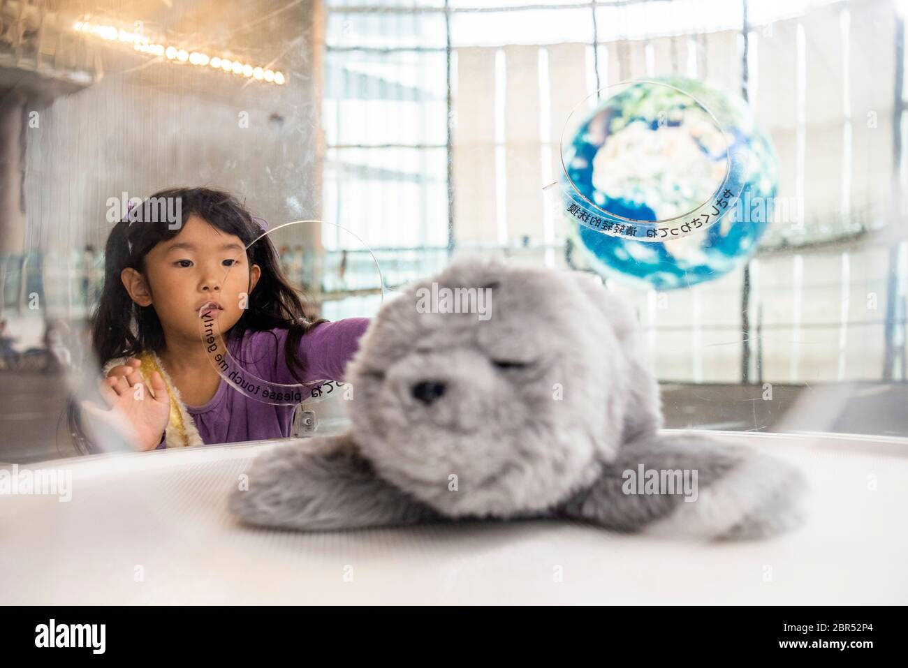 Paro seal robot Banque de photographies et d’images à haute résolution ...