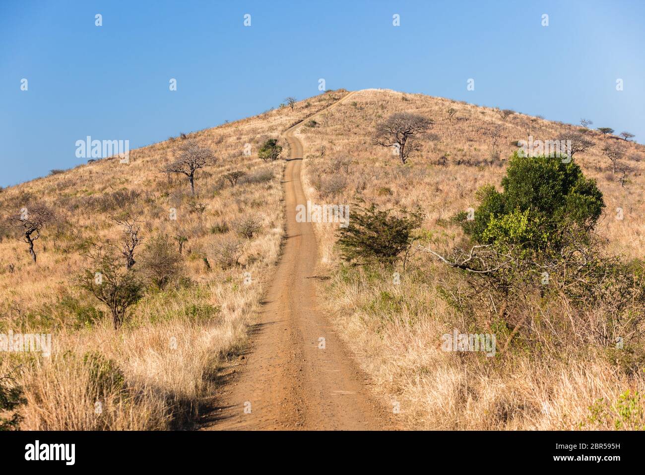 Route de terre escarpée nature sauvage terrain escarpé colline Photo ...