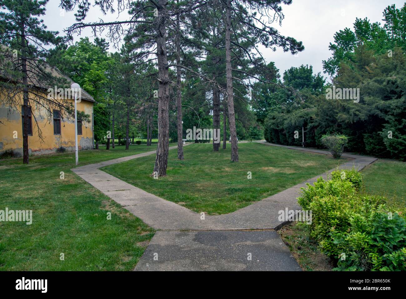 Deux chemins dans la forêt Banque de photographies et d’images à haute ...