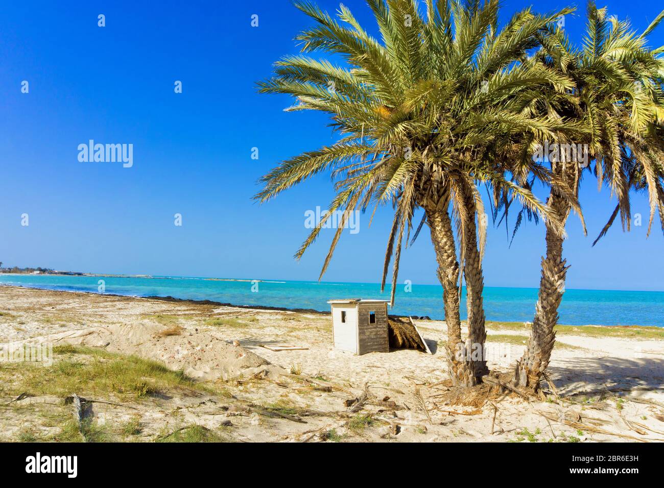 Le paysage magnifique de la mer Méditerranée avec des palmiers à Djerba ...