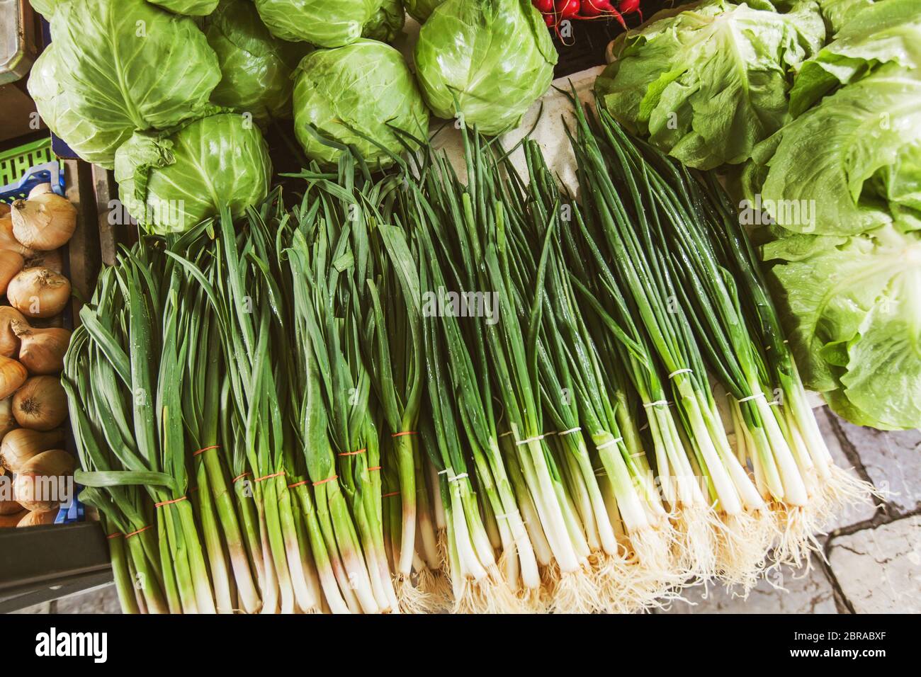 Oignon vert de printemps prêt à vendre sur le marché des agriculteurs ...