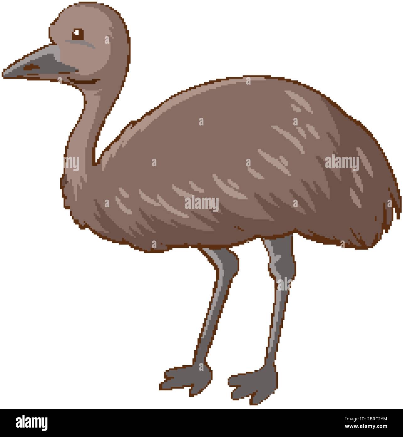 Personnage de dessin animé EMU sur fond blanc Image Vectorielle Stock ...