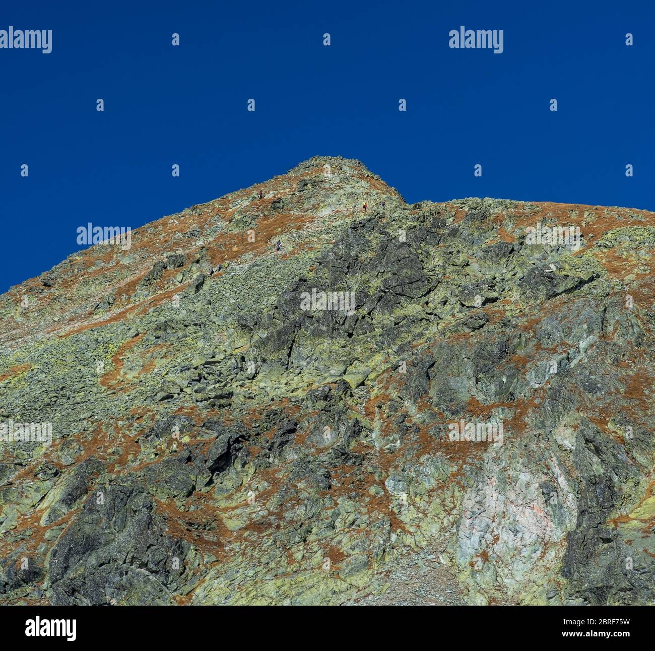 Bystre sedlo Banque de photographies et d’images à haute résolution - Alamy