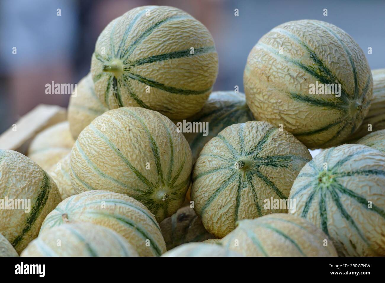 Melon charentais Banque de photographies et d’images à haute résolution ...