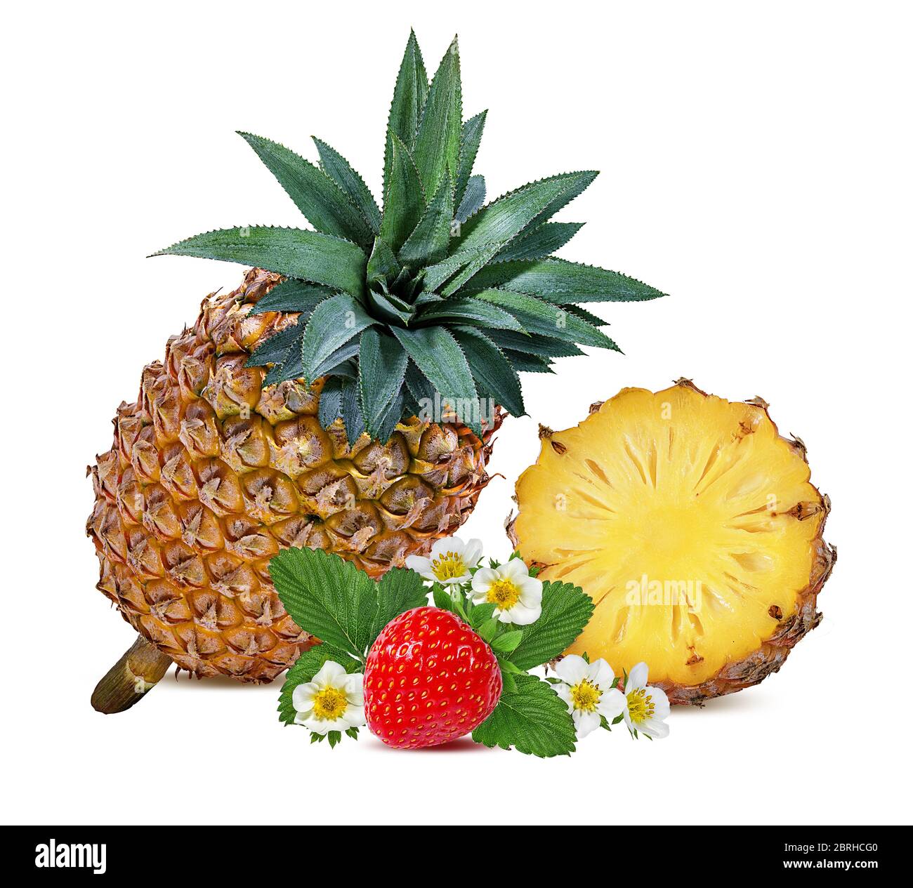 Fraise ananas Banque de photographies et d’images à haute résolution ...