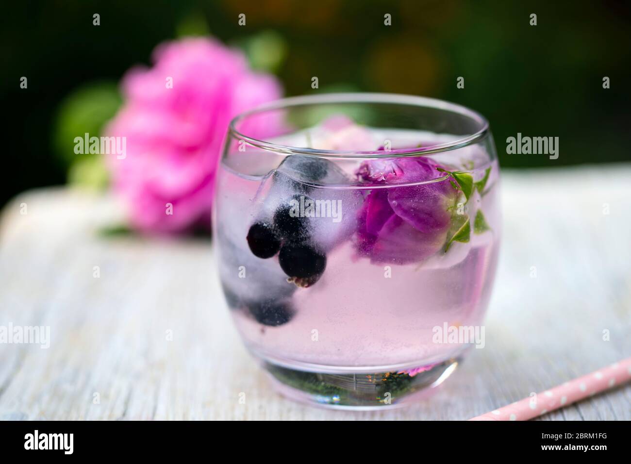 Gin tonic rosé Banque de photographies et d’images à haute résolution ...