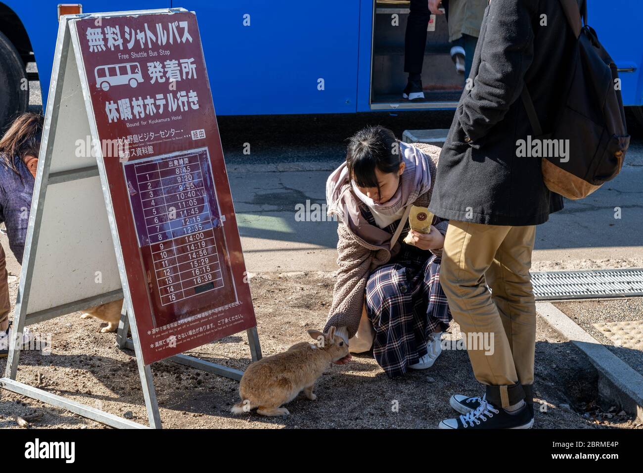Usagi Shima Banque De Photographies Et Dimages à Haute Résolution Alamy