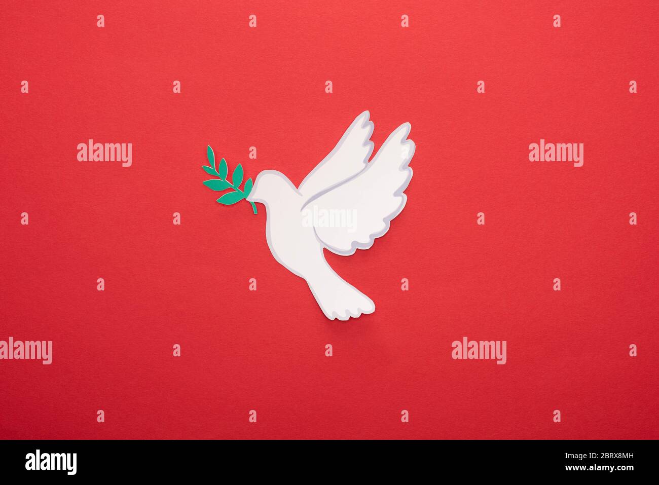 Colombe Comme Symbole De Paix Banque d'image et photos - Alamy