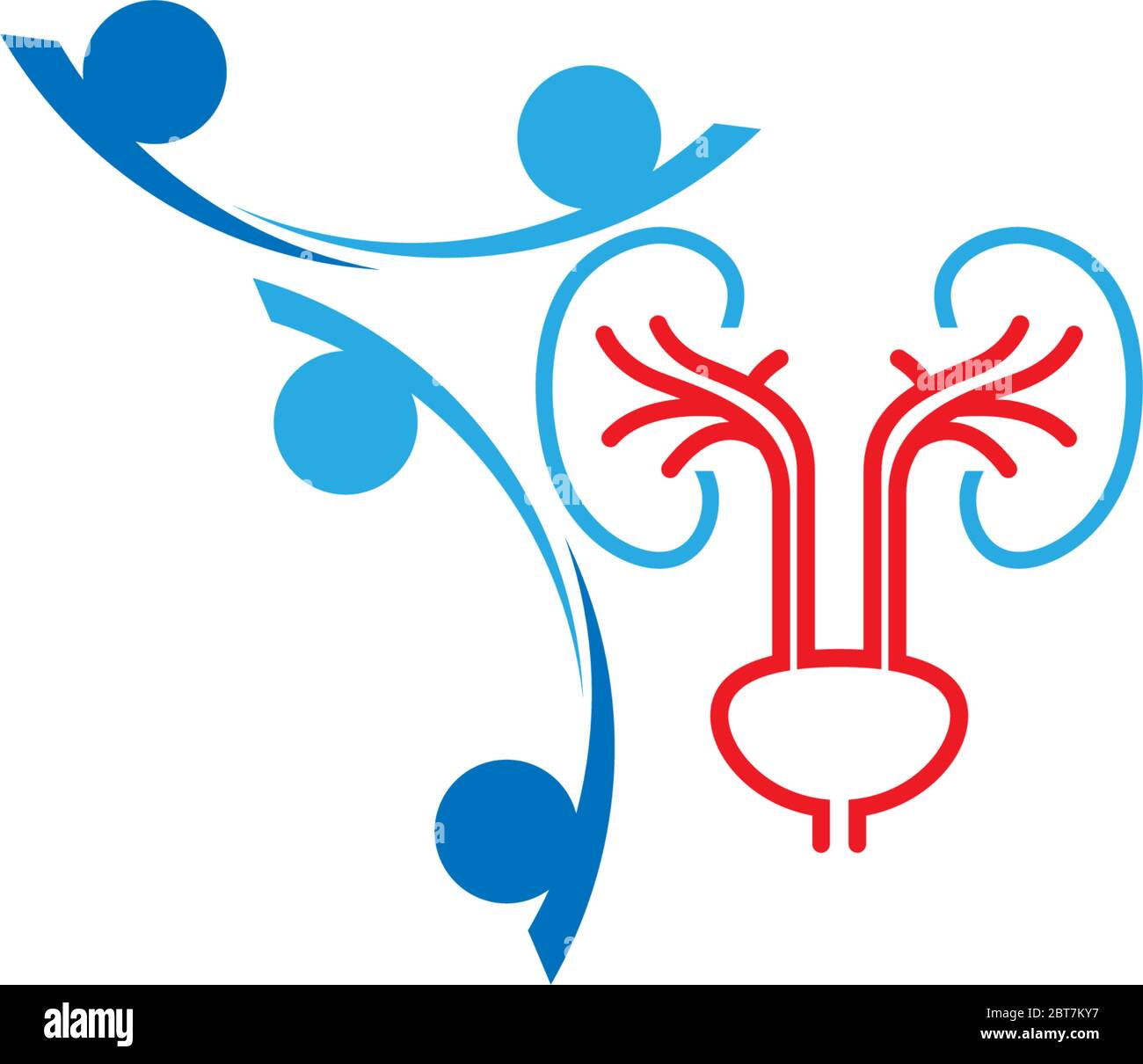 Logo Urologie, logo rein icône Healty illustration Image Vectorielle ...