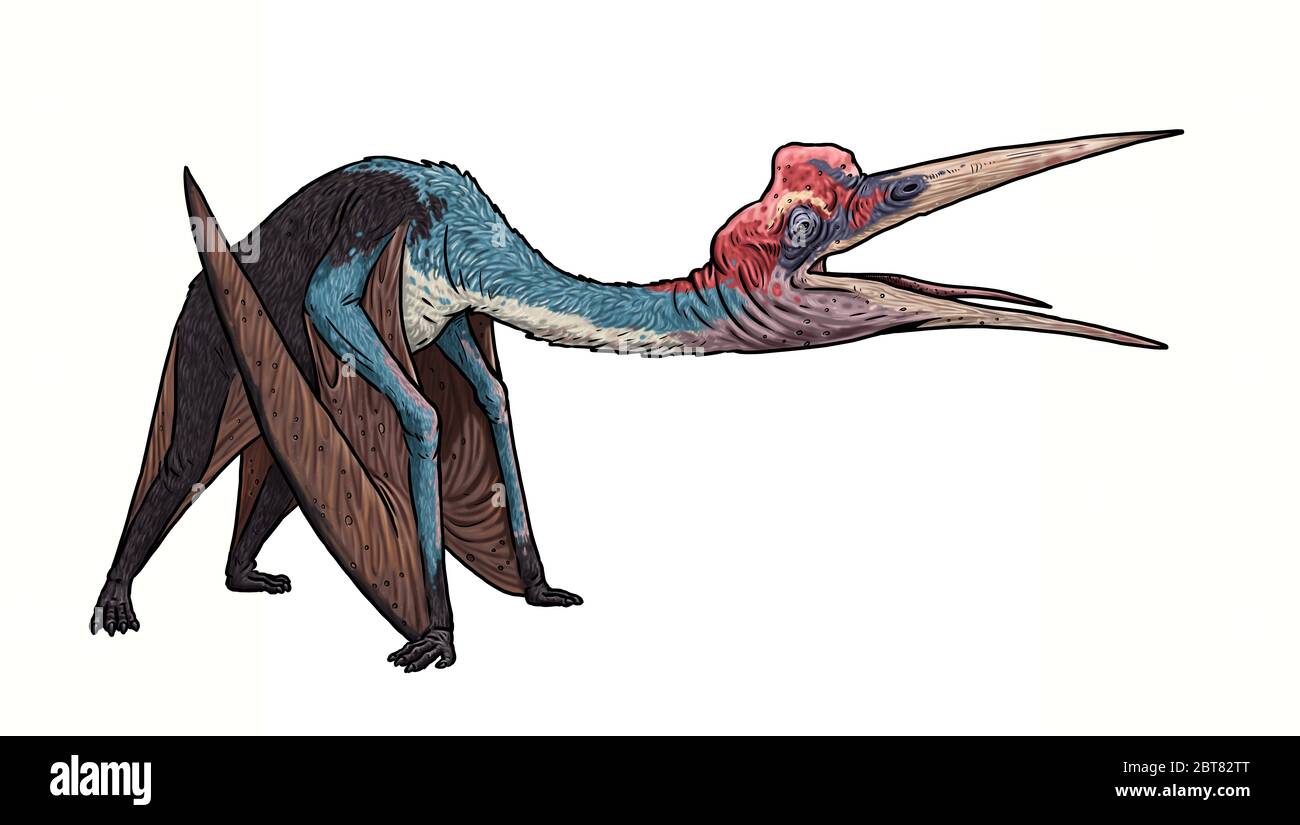 Ptérosaure préhistorique - Quetzalcoatlus. Reptiles volants de l'époque ...