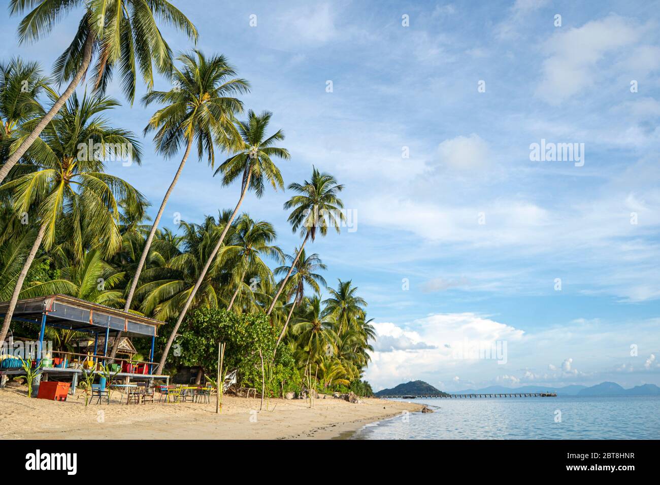 Les rives sablonneuses de la mer azur. Vagues et palmier avec ...
