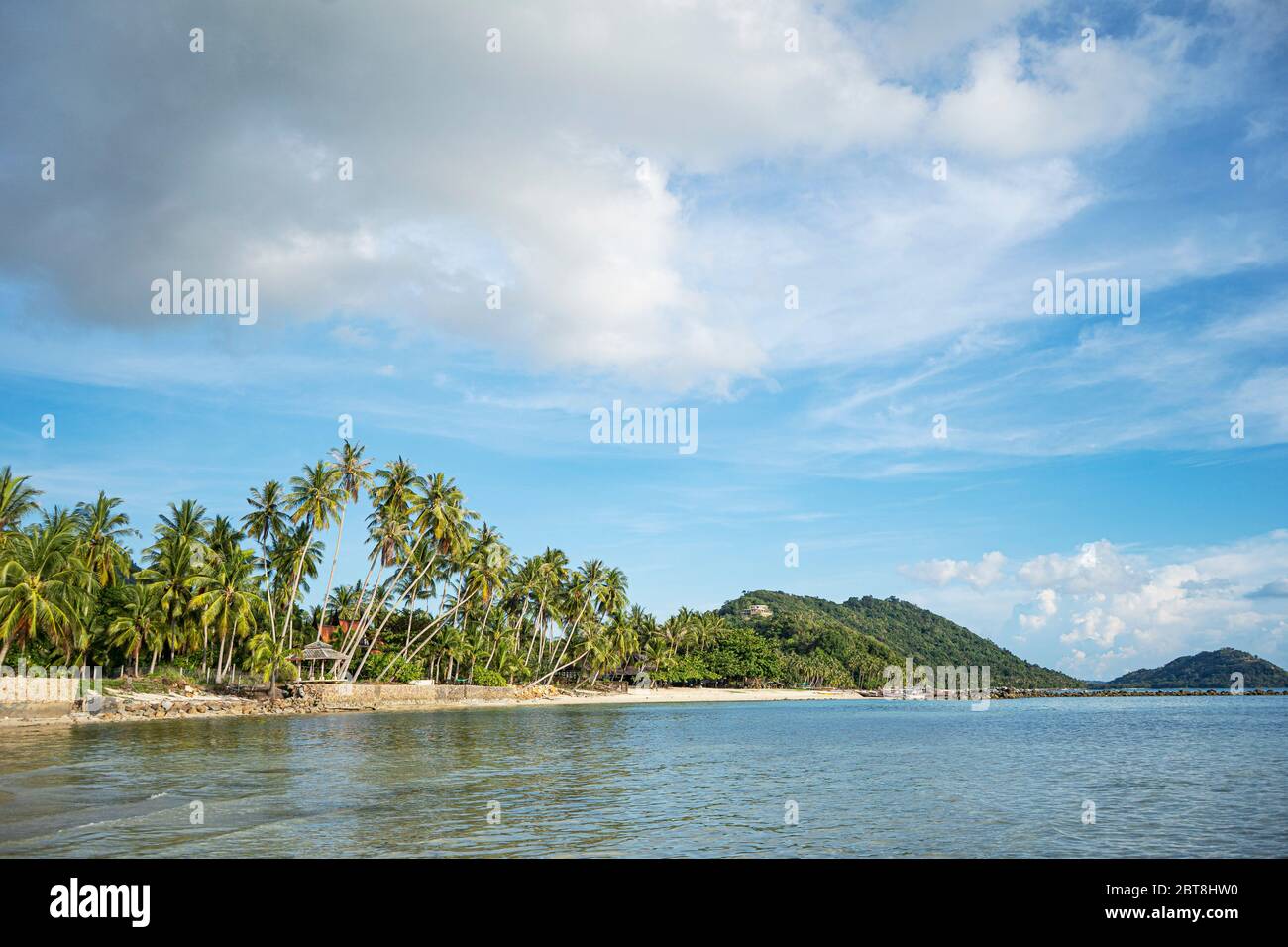 Les rives sablonneuses de la mer azur. Vagues et palmier avec ...