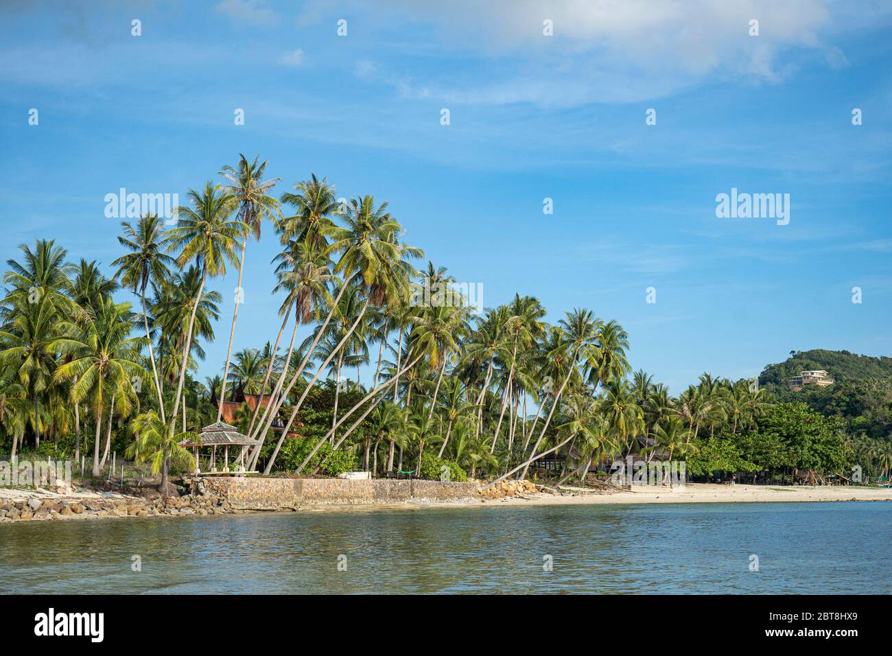 Les rives sablonneuses de la mer azur. Vagues et palmier avec ...