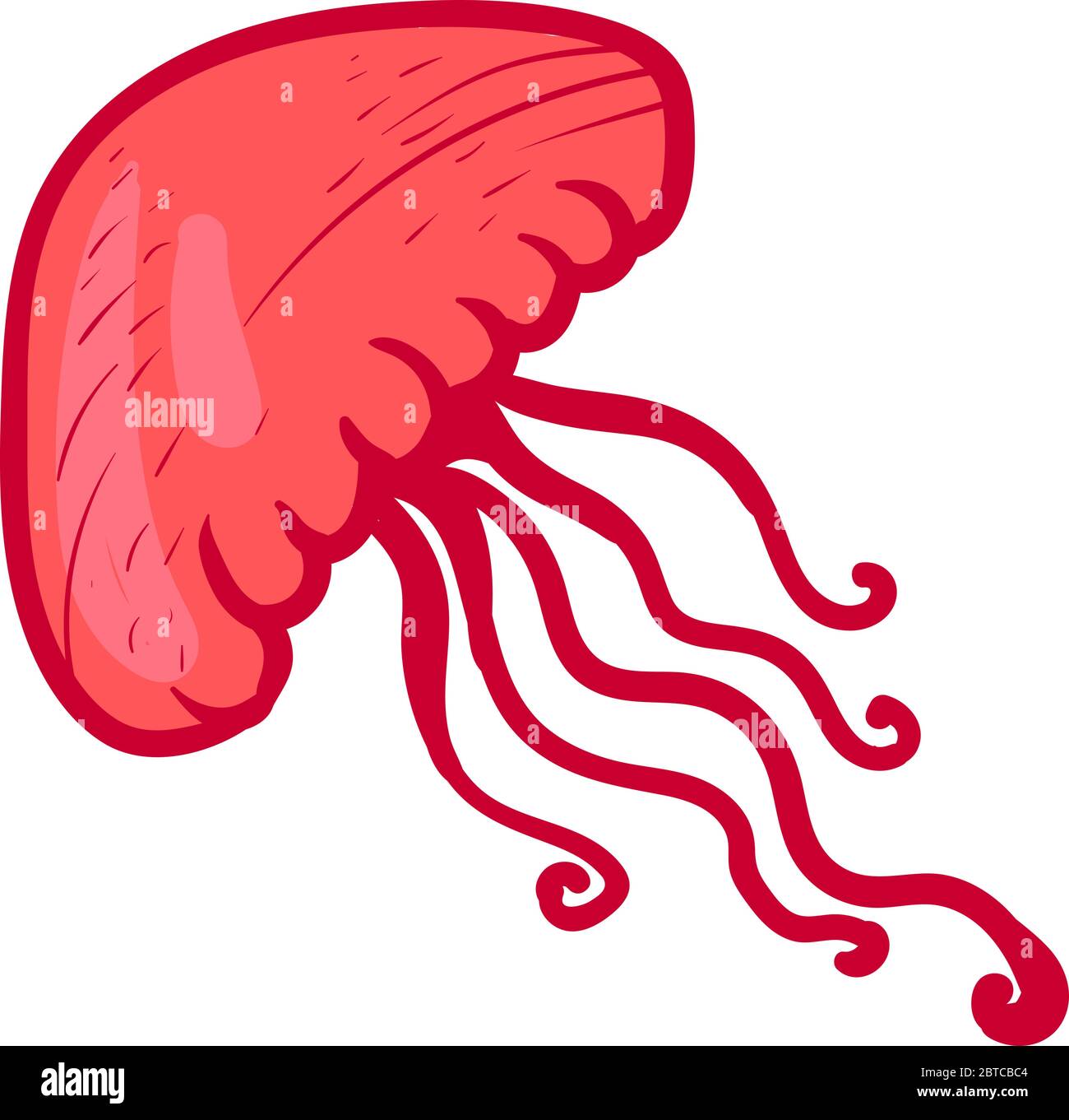 Méduse rouge Banque d'images vectorielles - Alamy