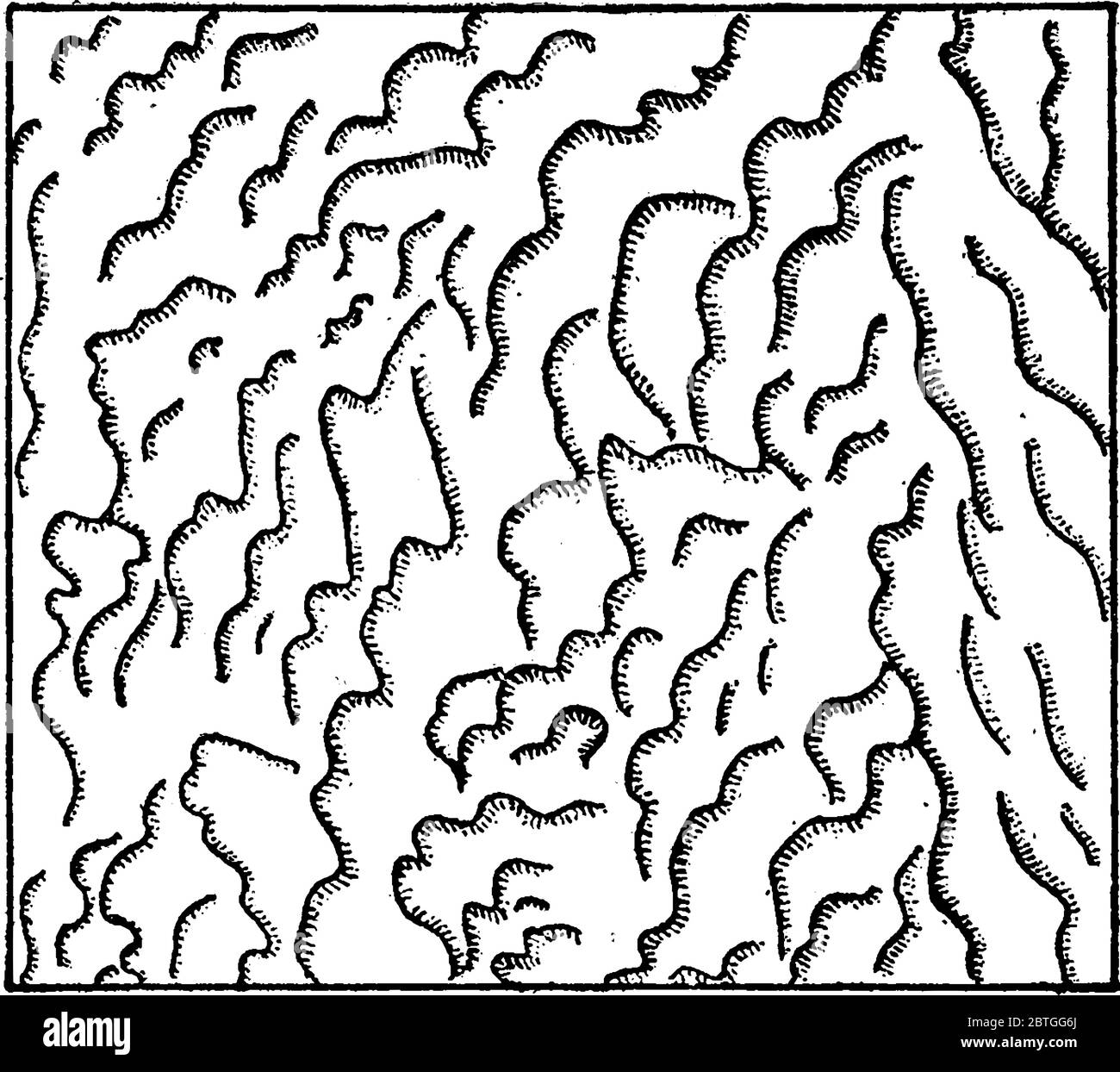 Ondulation dessin Banque de photographies et d’images à haute ...