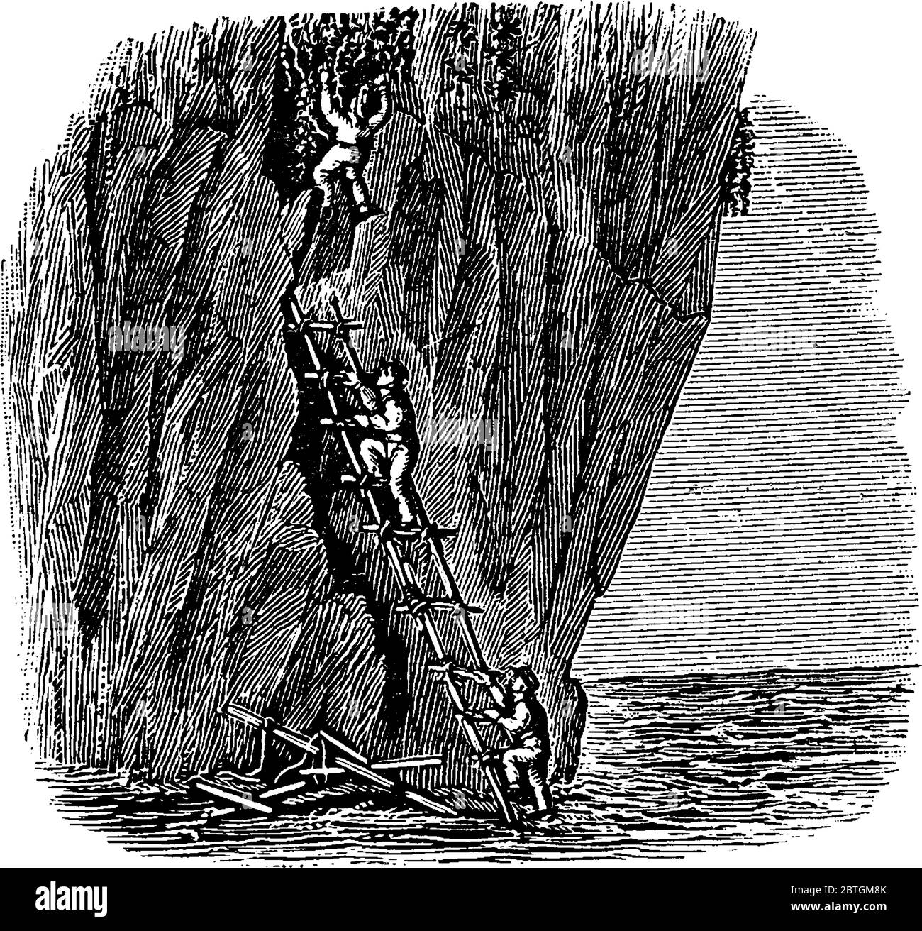 Quelques marins Banque d'images vectorielles - Alamy