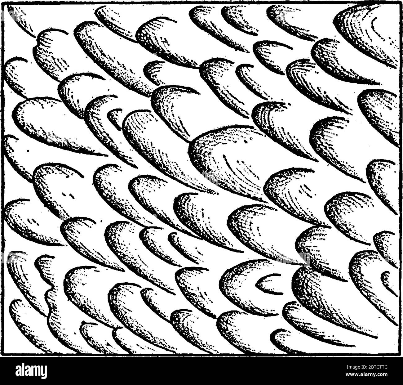 Ondulation dessin Banque de photographies et d’images à haute ...