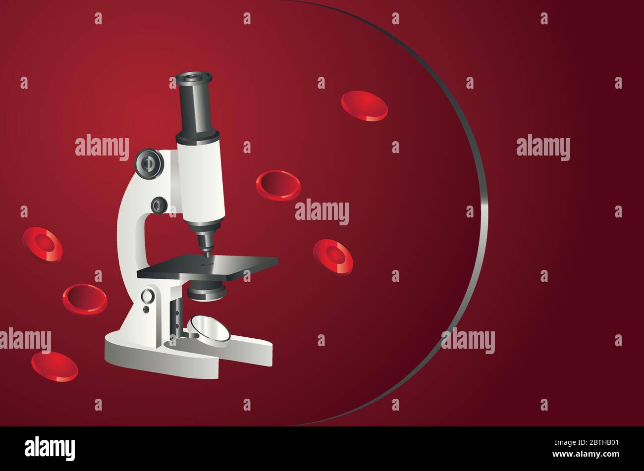 White blood cell microscope Banque d'images vectorielles - Alamy