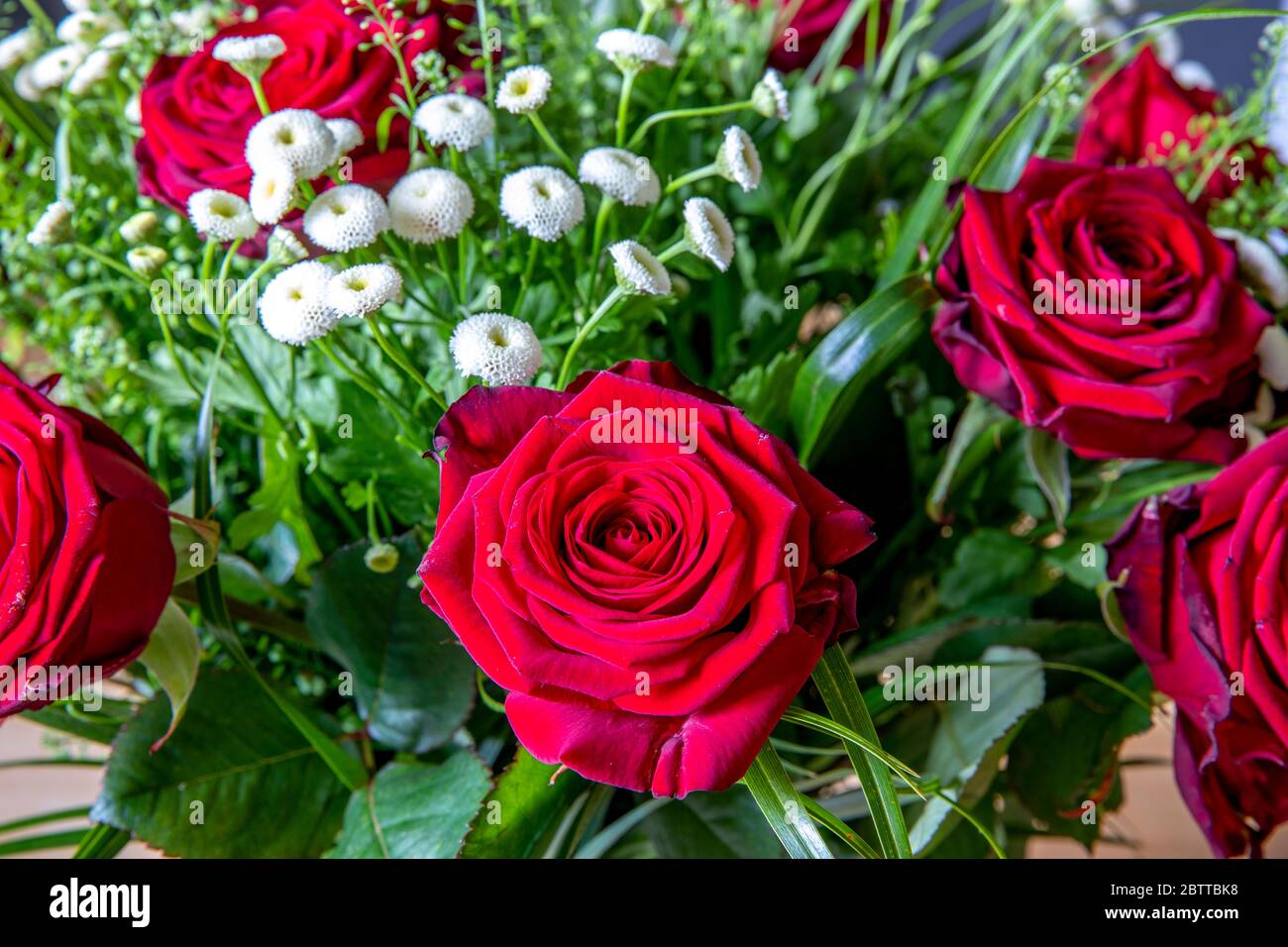 Fond d'écran rose rouge Banque de photographies et d’images à haute ...