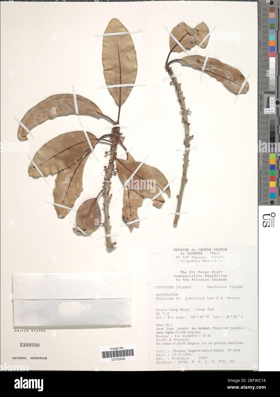 Meeuse Banque de photographies et d’images à haute résolution - Alamy