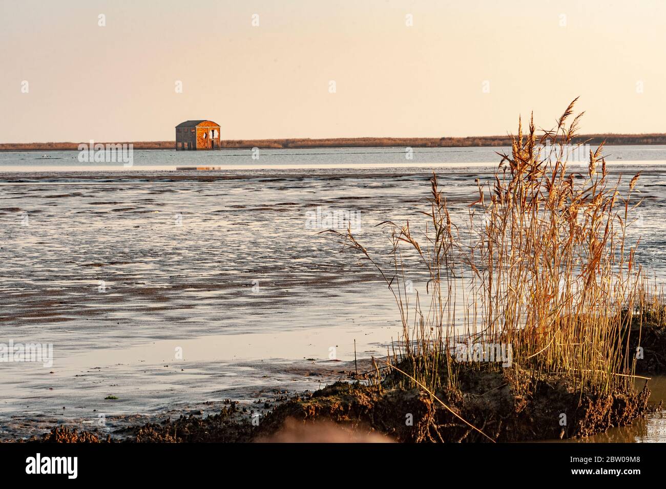 Parco nazionale delta del po Banque de photographies et d’images à ...