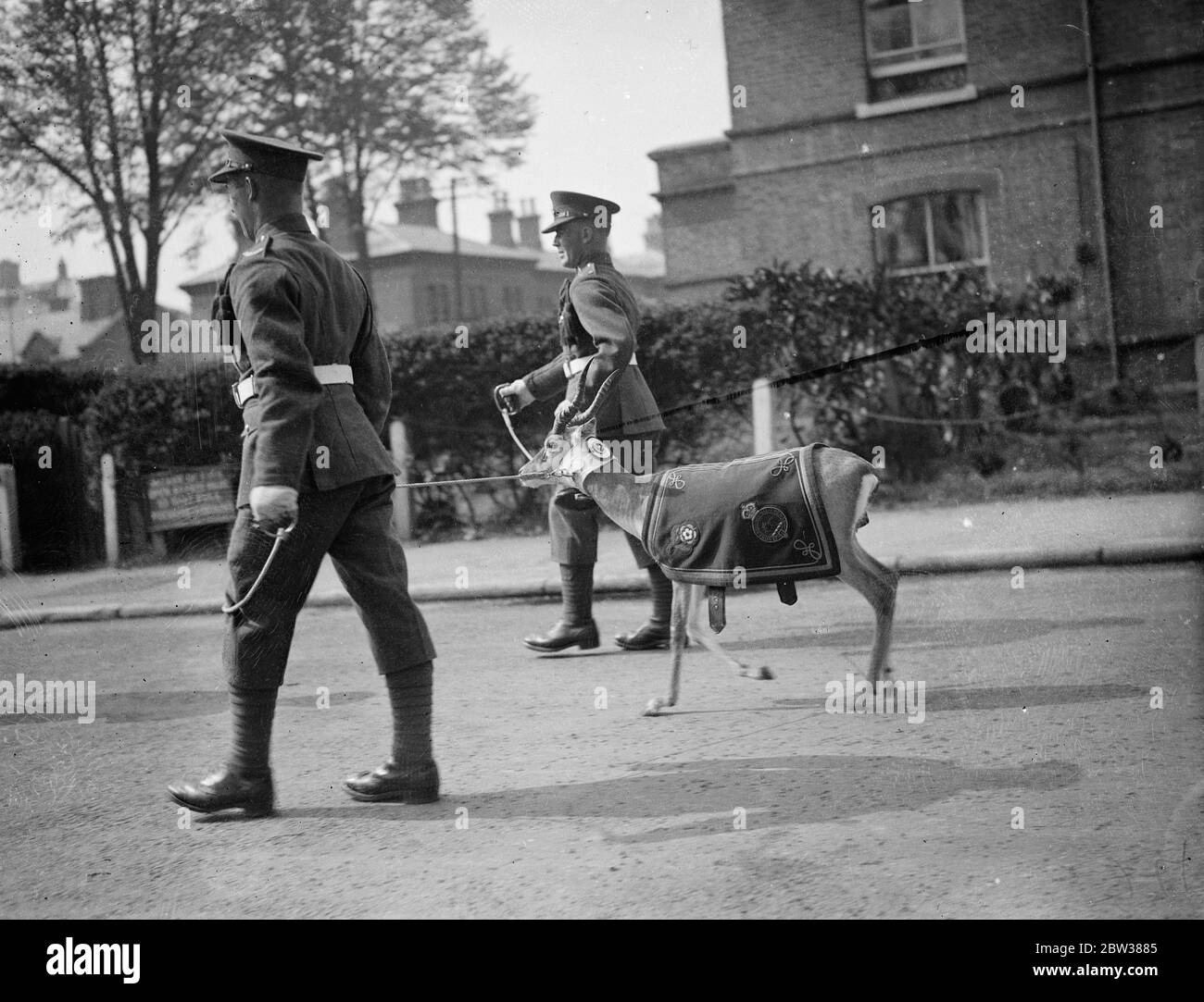 Regiment crest badge Banque de photographies et d’images à haute ...