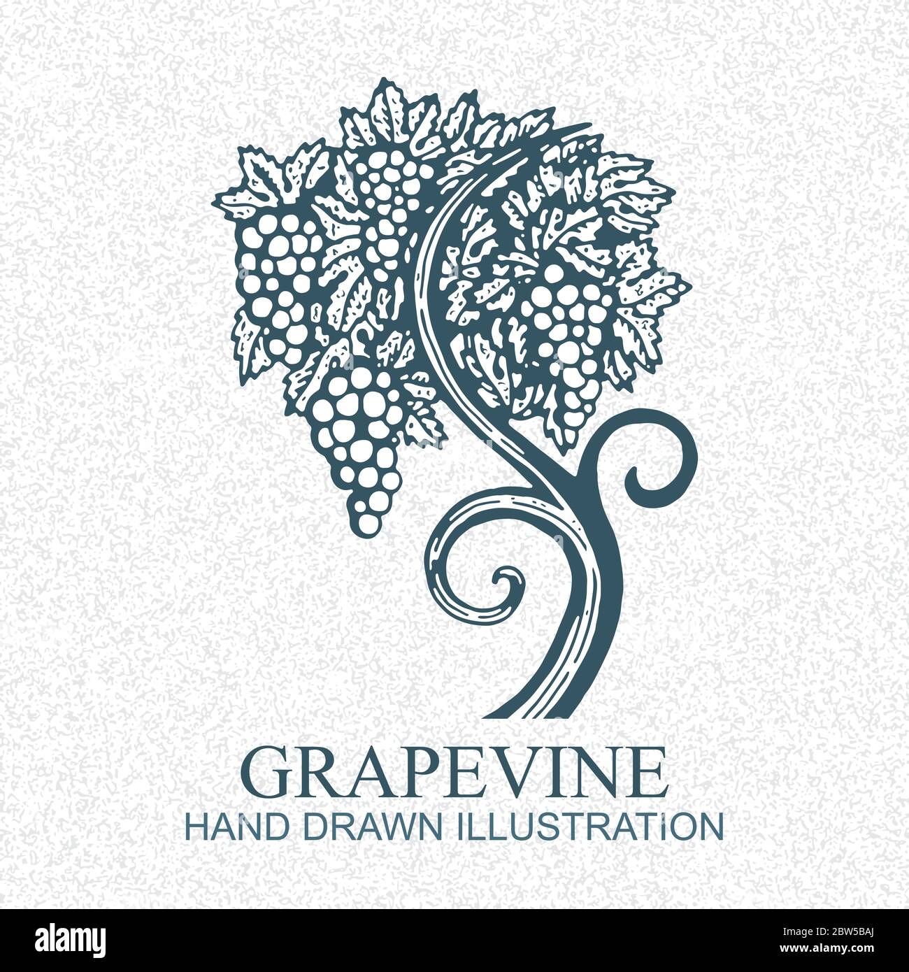 Logo de la vigne Banque de photographies et d’images à haute résolution ...