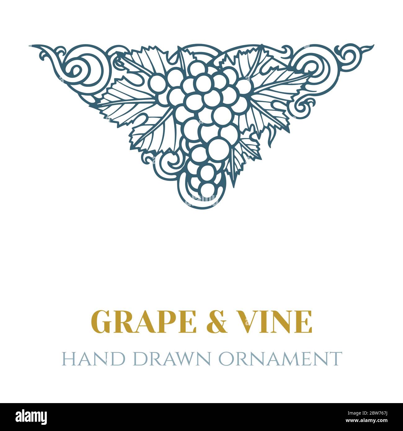 Dessin de grappe de raisin Banque d'images vectorielles - Alamy