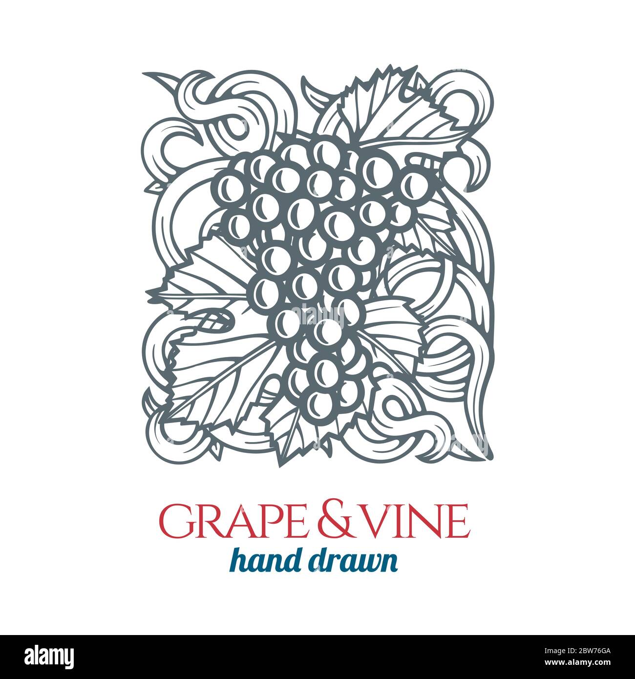 Décoration raisin et vigne. Illustration de style gravure de grappe de ...