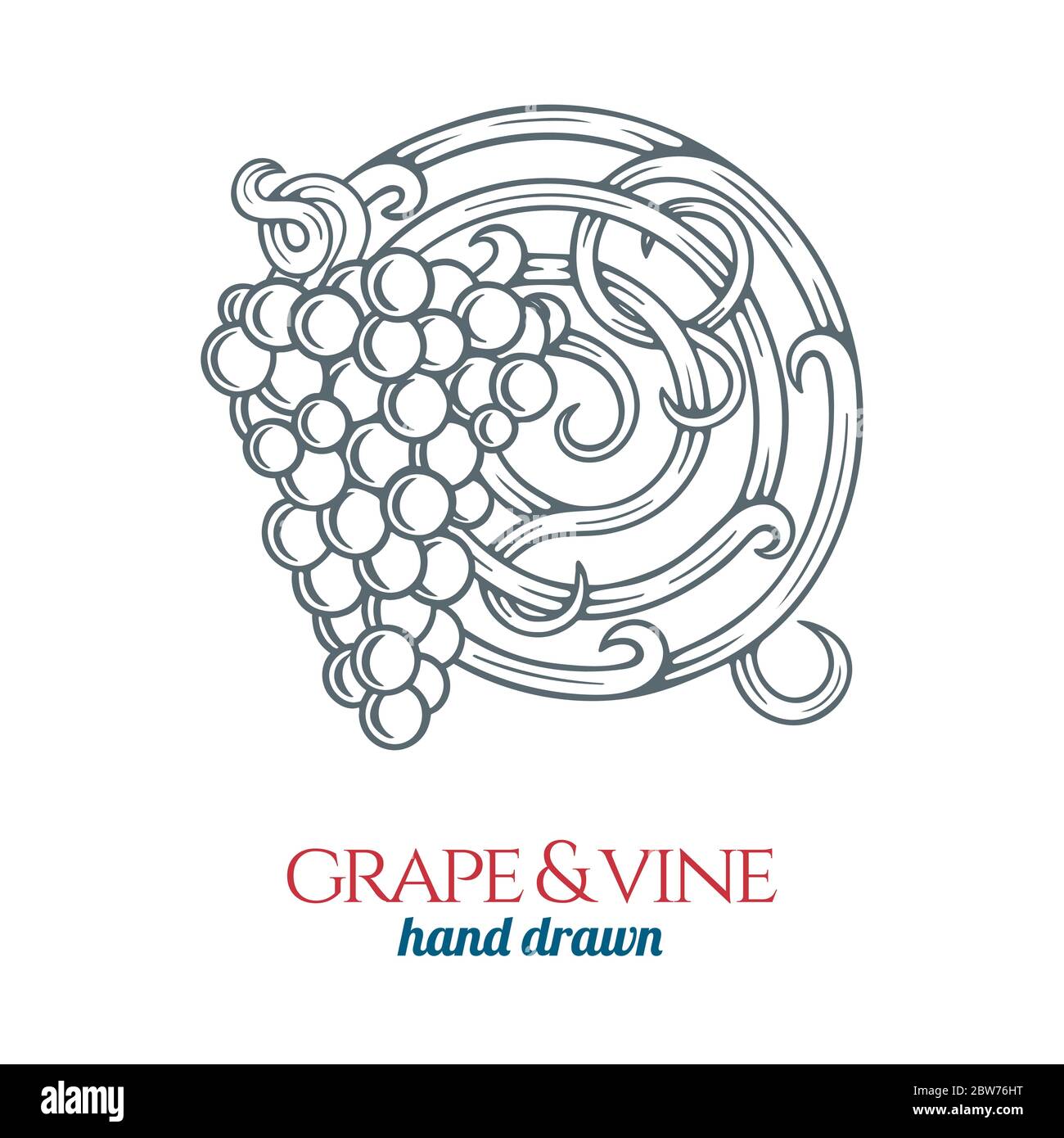 Raisin et vigne. Illustration de style gravure de grappe de raisin ...