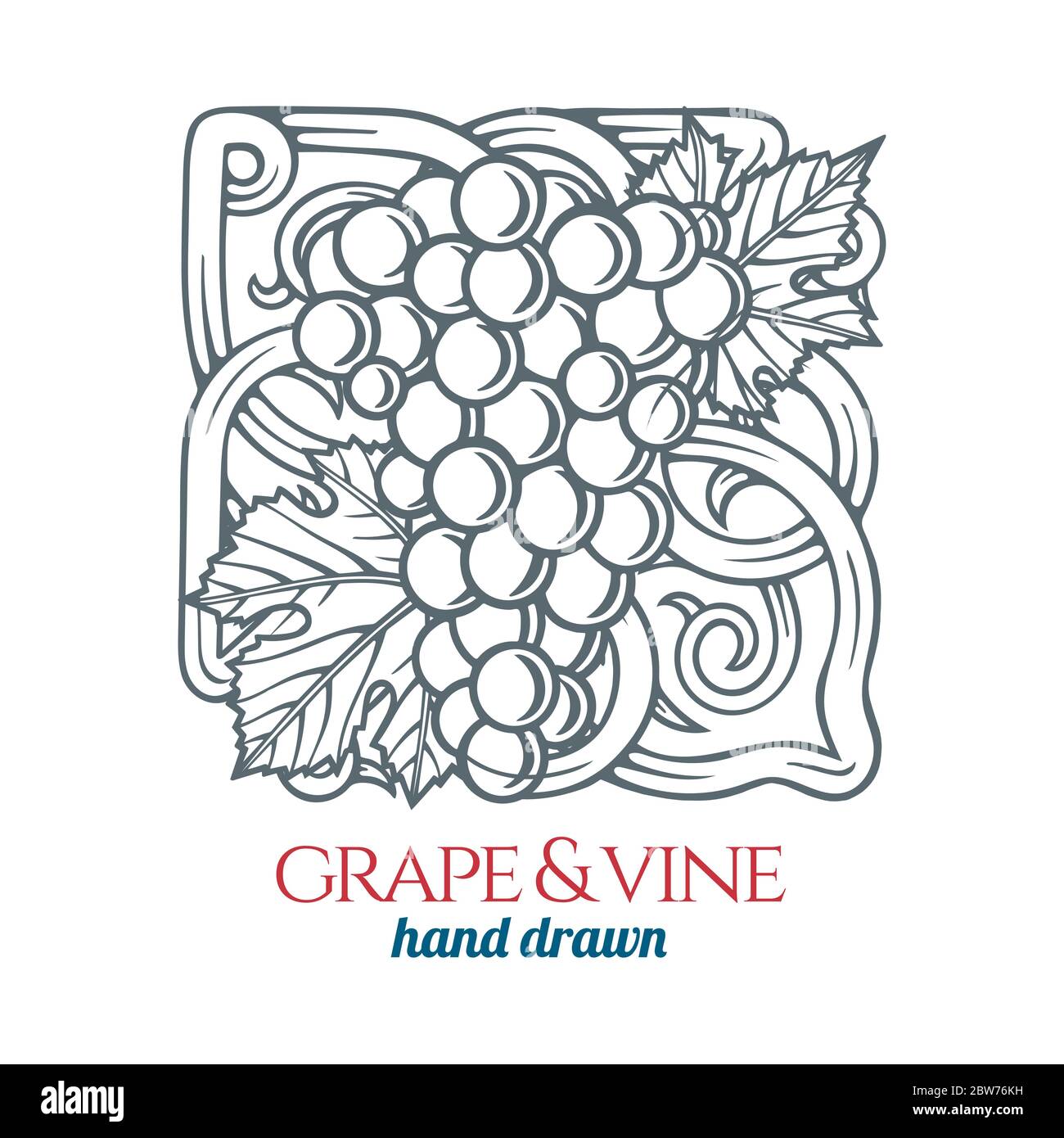 Décoration raisin et vigne. Illustration de style gravure de grappe de ...